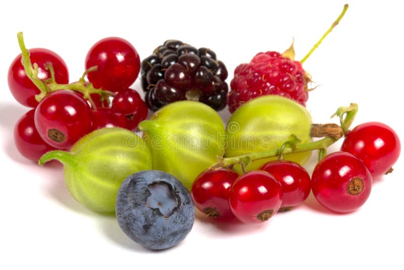Fresh berries isolated stock photo. Image of fruits, bilberry - 32381590