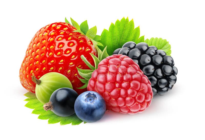 Fresh berries stock photo. Image of clipping, ingredient - 46595592