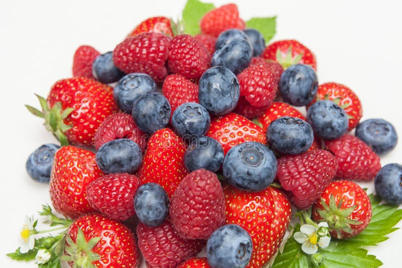 Fresh Berries Mixed Isolated on Withe Stock Photo - Image of organic ...