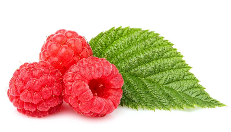 Raspberries Closeup on White. Stock Image - Image of fresh, objects ...