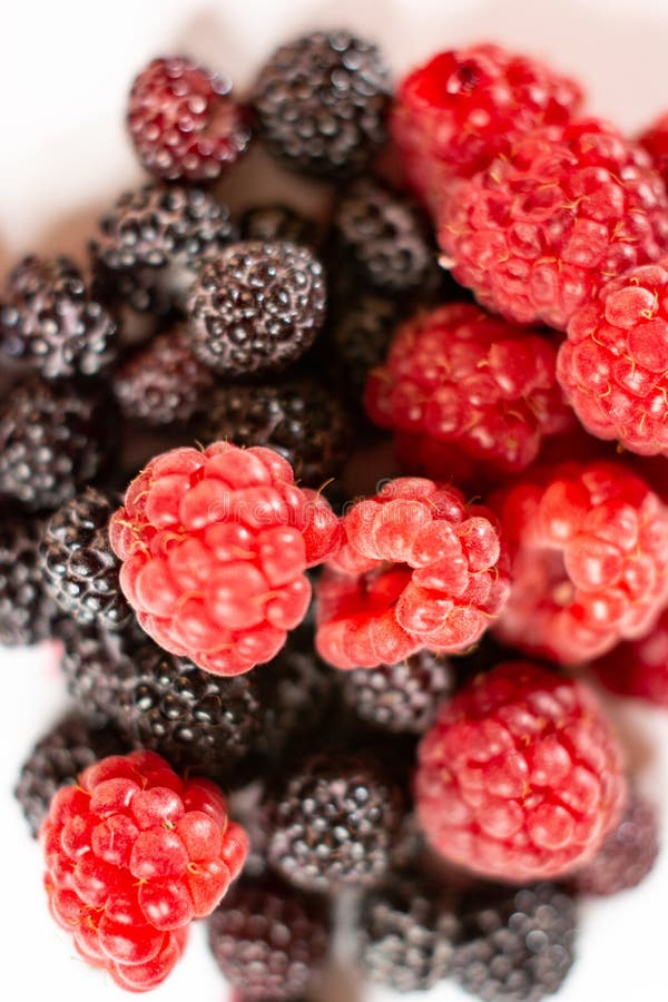 Fresh Berries of Sweet Red and Black Raspberries on a White Background ...
