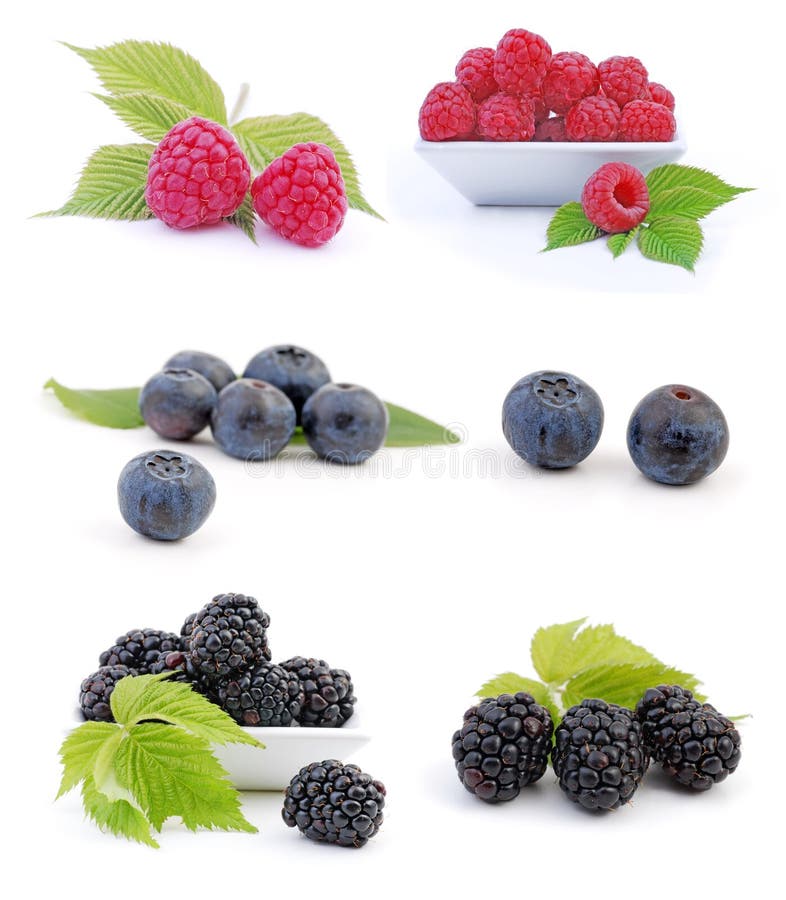 Fresh berry stock photo. Image of dinner, green, nature - 5822168