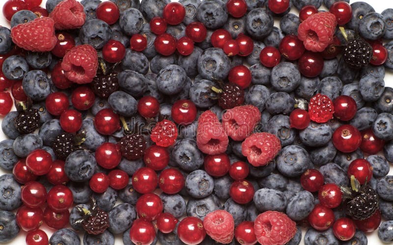 Fresh berry fruit stock image. Image of berries, blueberries - 11053563