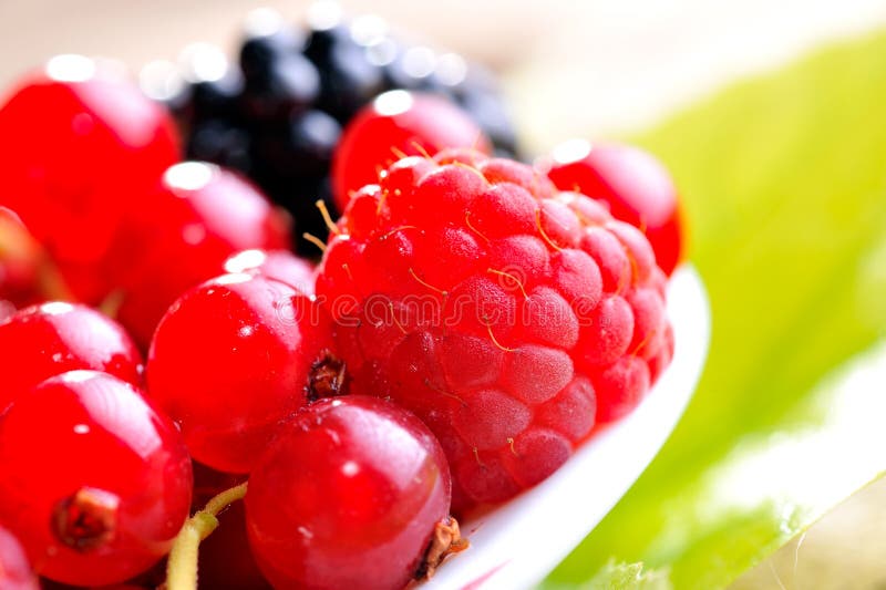 Fresh berry fruits stock photo. Image of colorful, natural - 10705158