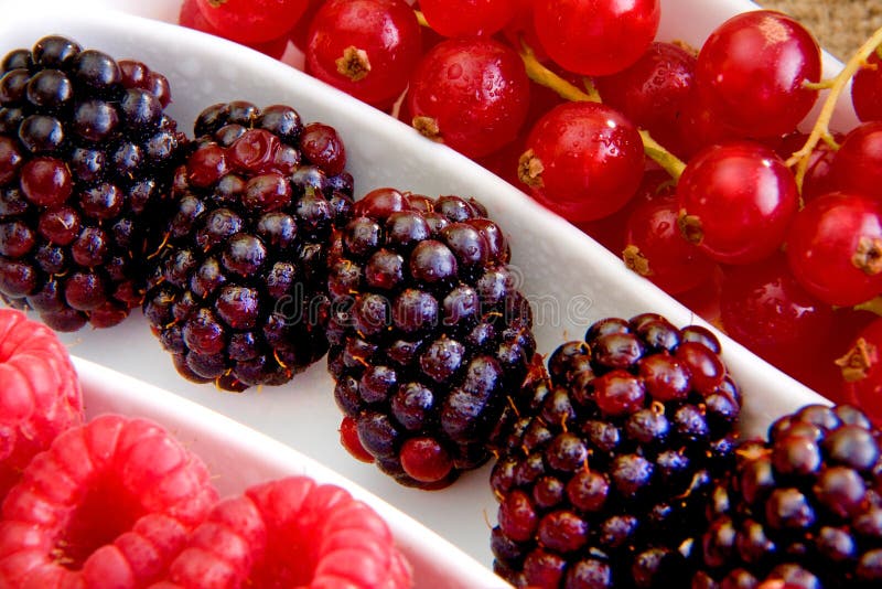 Fresh berry fruits stock image. Image of delicacy, ingredients - 23349063