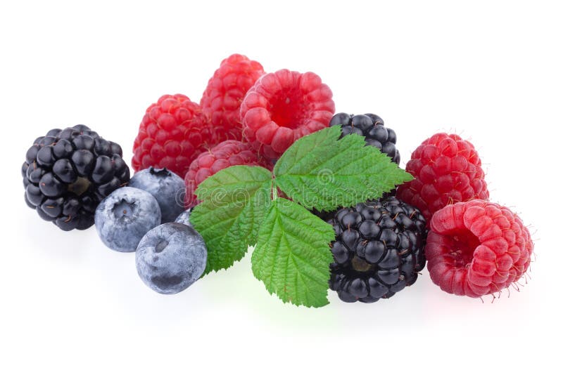 Berry fruit stock photo. Image of background, blackberry - 33102270
