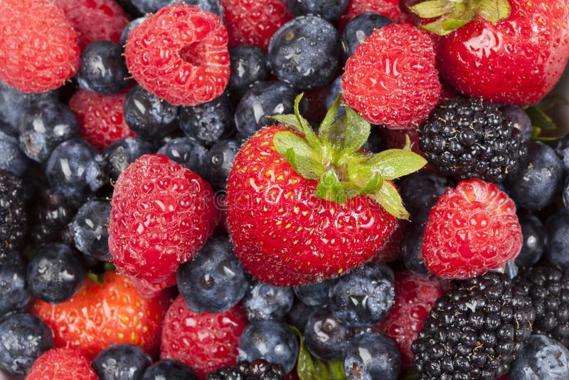 A fresh berry texture stock image. Image of dessert, color - 20058333