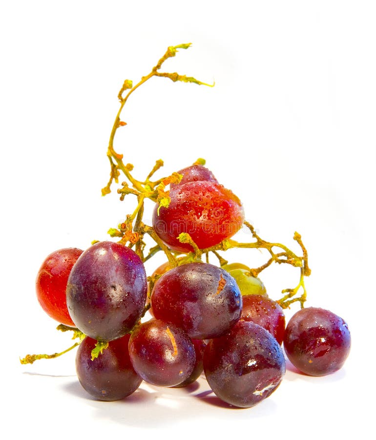 Fresh Berrys Picture. Image: 628756