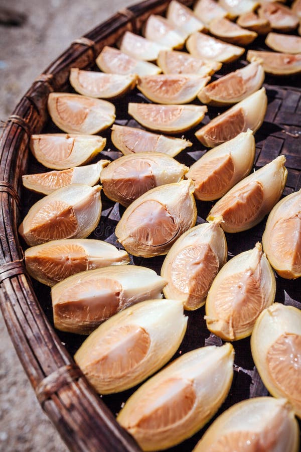 Fresh Betel Nut Isolated on White Stock Image - Image of cancer, areca ...