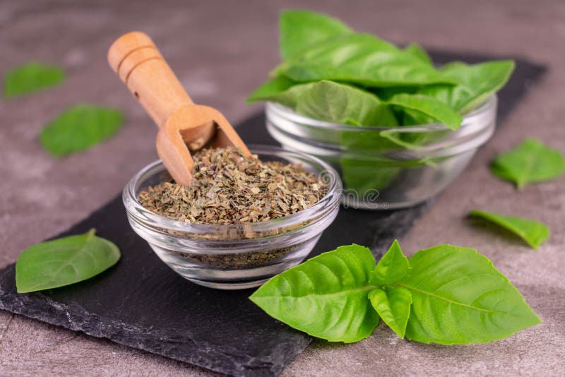 Fresh Bezel Leaves and Dried Basil on a Black Slate Board. Stock Photo ...