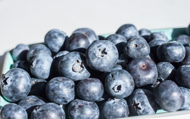 Fresh big blueberries stock image. Image of blue, fruit - 88648929