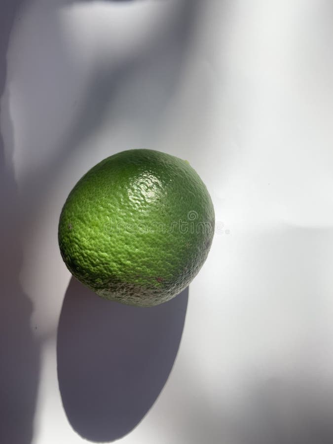 Fresh big lime stock image. Image of coral, fresh, tulungagung - 267180859