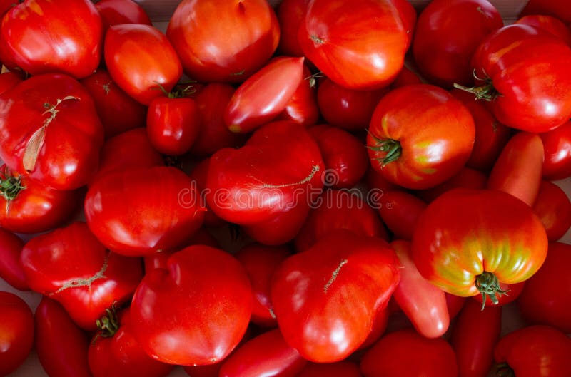 Fresh Big Red Ripe Tomatoes Background. Stock Image - Image of healthy ...