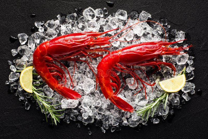 Fresh Big Red Shrimp on Ice on a Black Stone Table Stock Photo - Image ...
