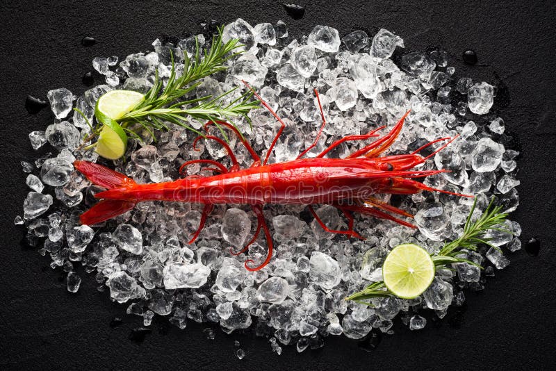 Fresh Big Red Shrimp on Ice on a Black Stone Table Stock Photo - Image ...