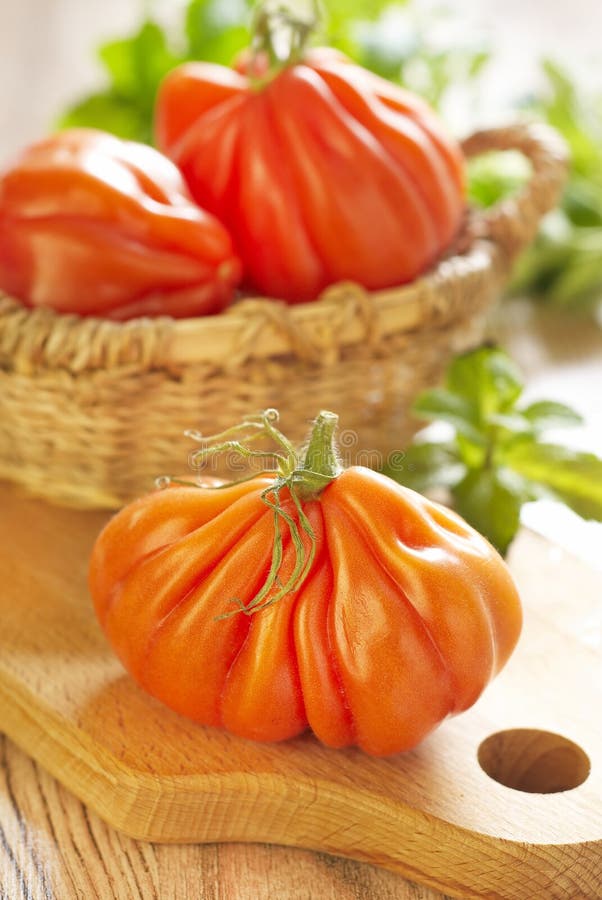 Fresh big tomatoes stock photo. Image of mature, botanical - 18817486