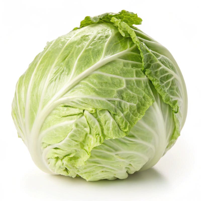 Bilko Cabbage Stock Illustrations – 2 Bilko Cabbage Stock Illustrations ...