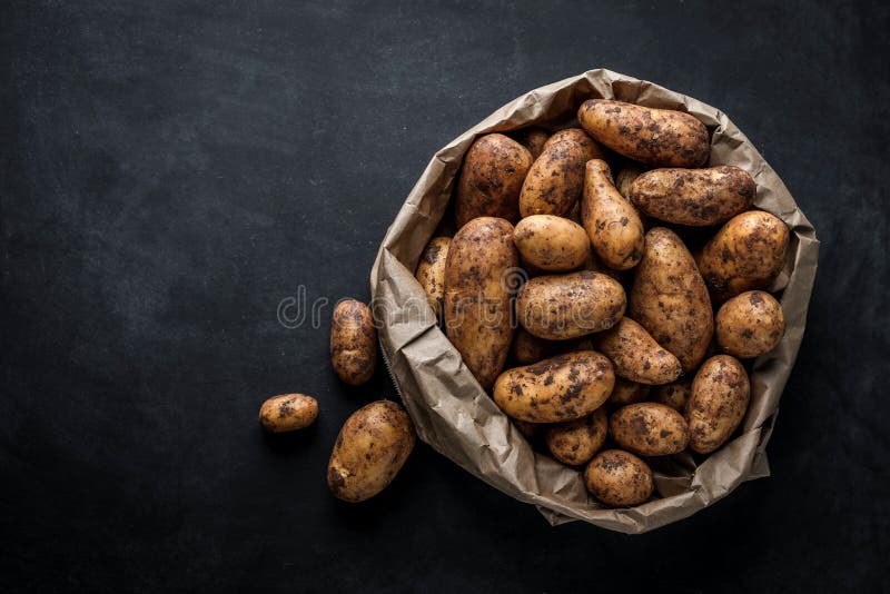 Fresh Bio Potatoes on Grey Background Closeup. Stock Image - Image of ...