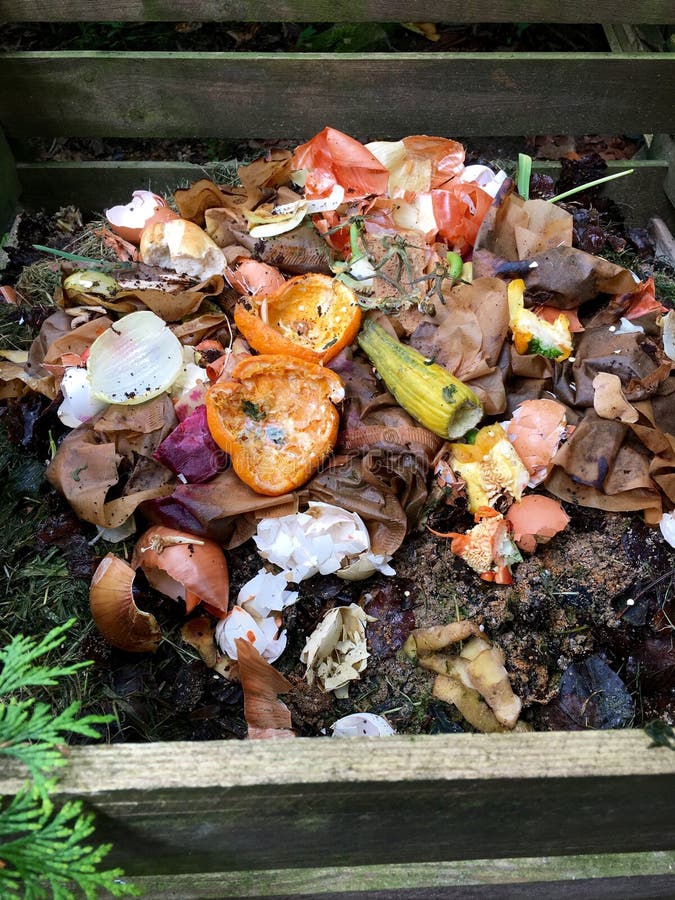 Fresh Bio Waste and Compost Stock Image - Image of macro, composting ...
