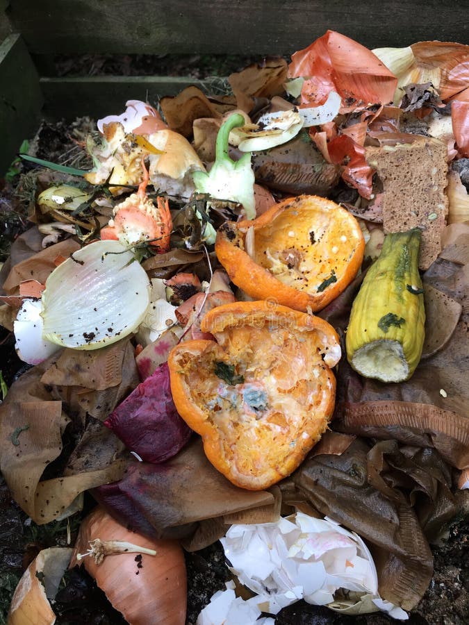 Fresh bio-waste stock photo. Image of plant, junk, pile - 69465776