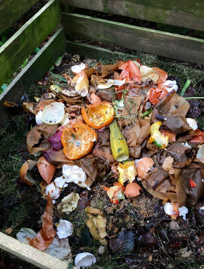 Fresh Bio Waste and Compost Stock Image - Image of decomposed ...
