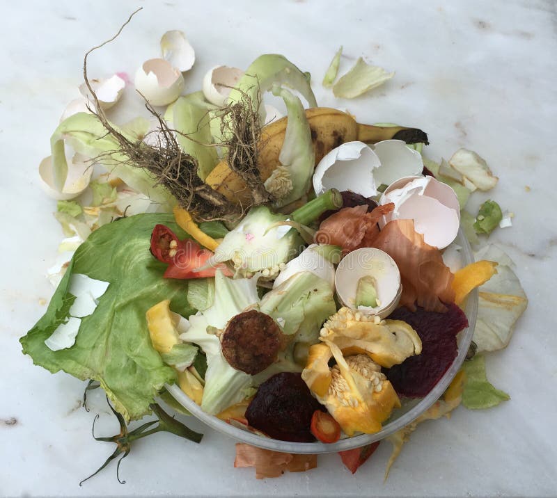 Fresh bio-waste stock image. Image of green, household - 74957697