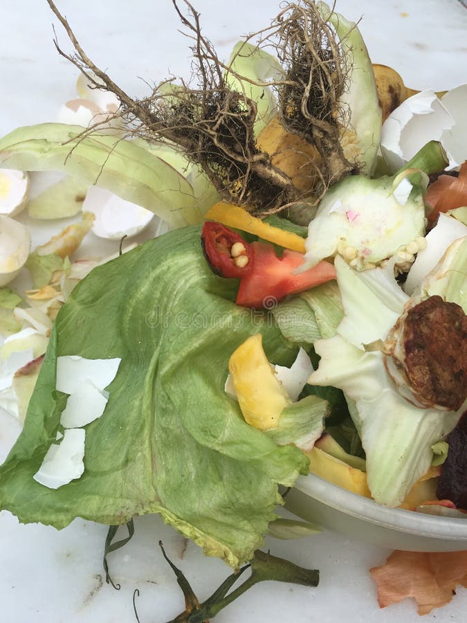 Fresh Bio Waste in a Small Plastic Cup Stock Image - Image of eggshell ...