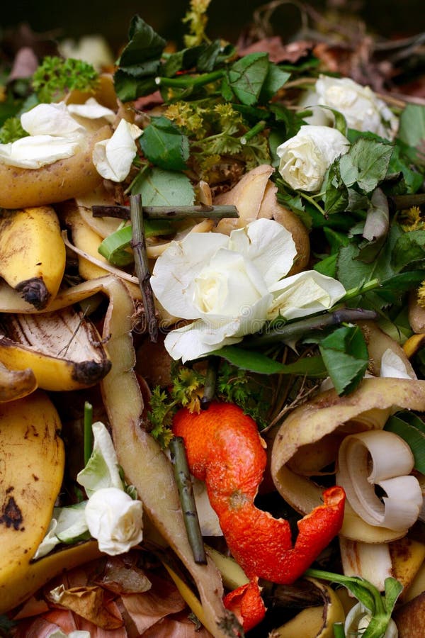Fresh bio-waste stock photo. Image of compost, mandarins - 69465866