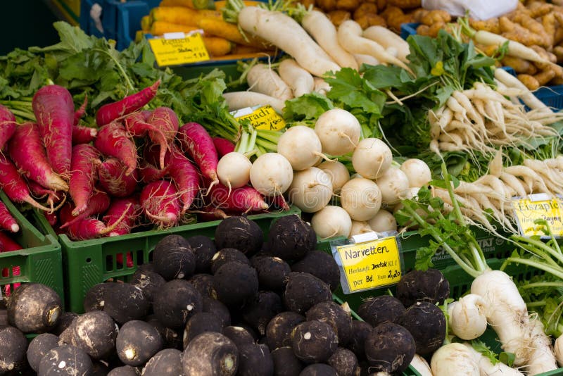 Fresh biological veg stock image. Image of salad, nature - 22717433