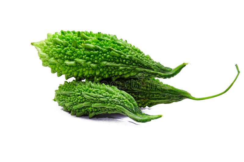 Fresh bitter gourd stock image. Image of healthy, closeup - 226632179
