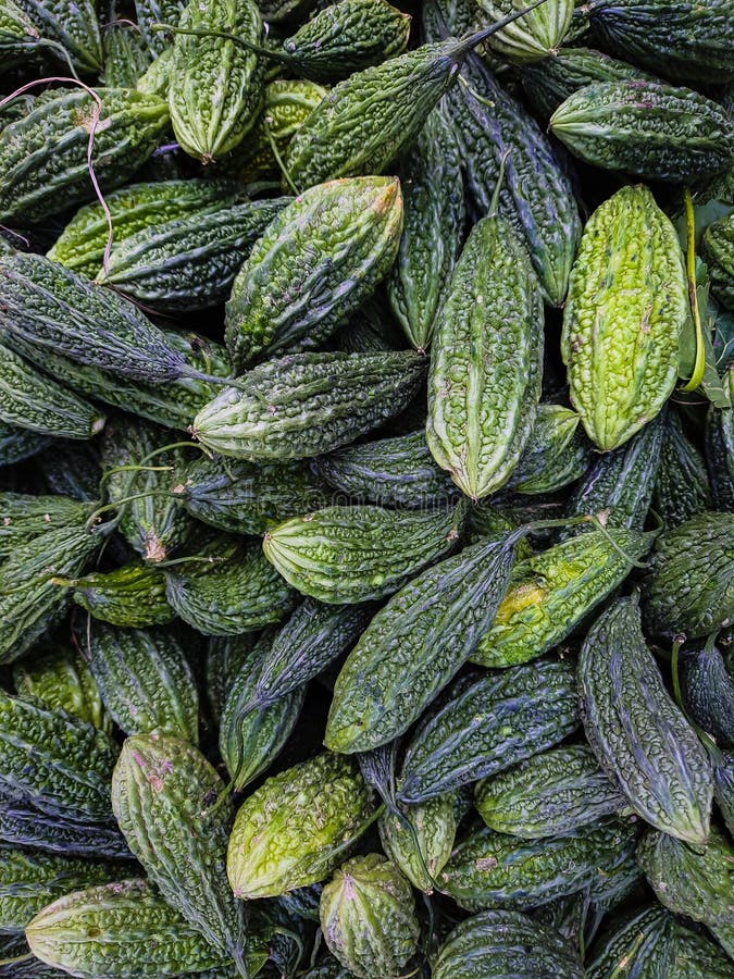 327 Fresh Bitter Guard Stock Photos - Free & Royalty-Free Stock Photos ...