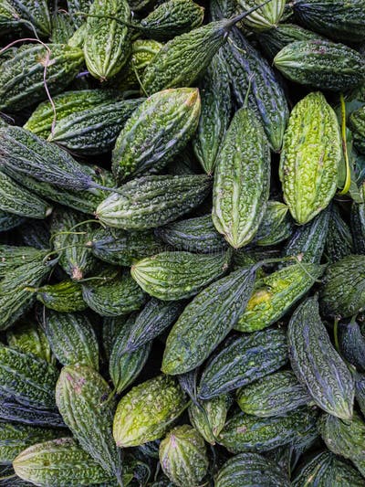 327 Fresh Bitter Guard Stock Photos - Free & Royalty-Free Stock Photos ...