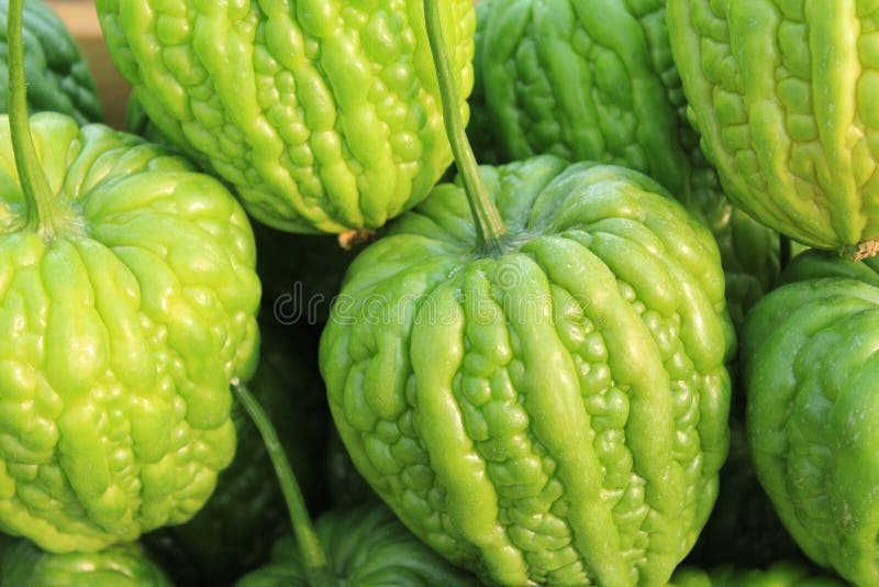 Fresh ripe bitter melon stock image. Image of yellow - 35354769