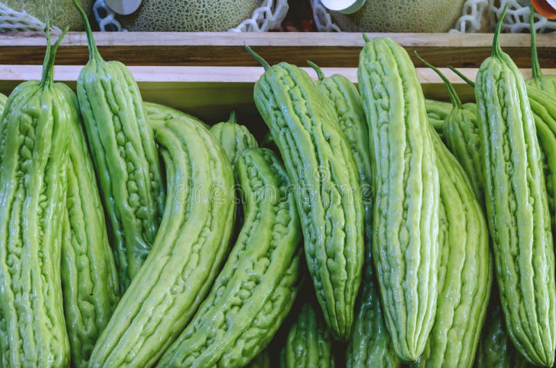 Fresh Bitter Melon in Market Stock Photo - Image of growth, eating ...