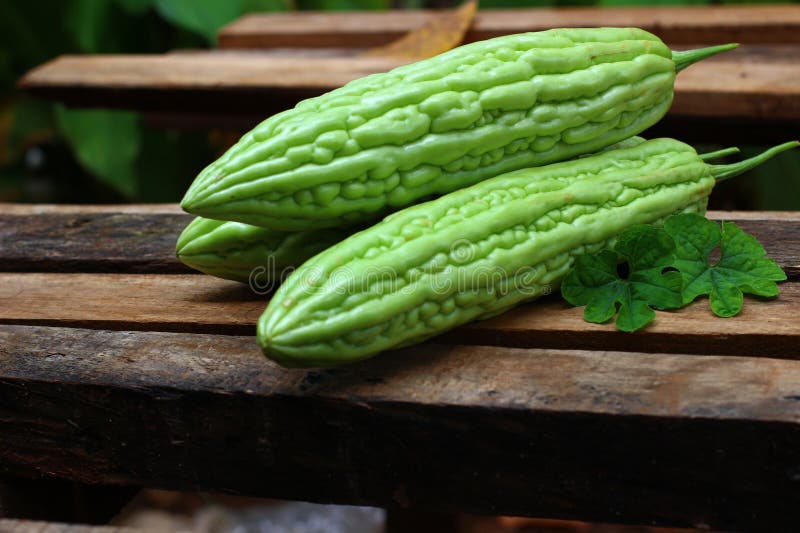 Fresh Bitter Melon on a Wooden Surface Stock Photo - Image of bitter ...