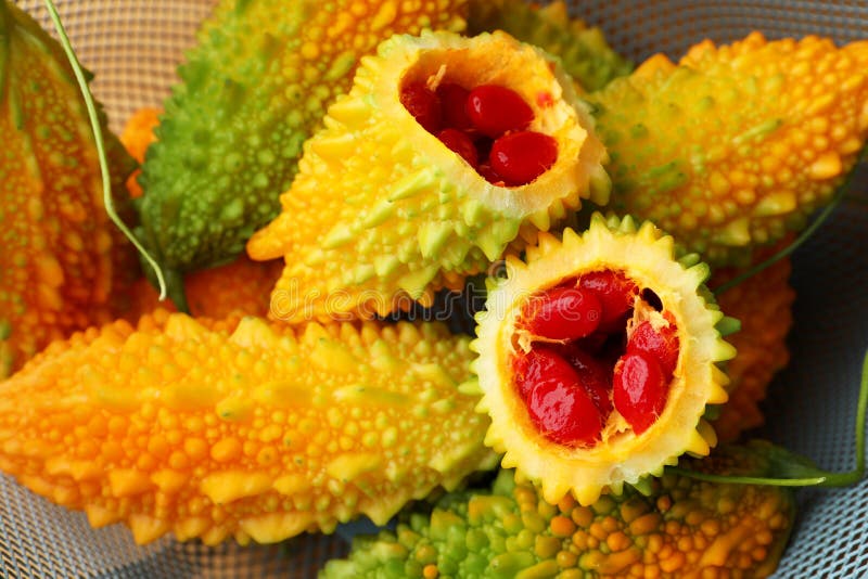 Fresh Bitter Melons on Net, Closeup View Stock Image - Image of halves ...