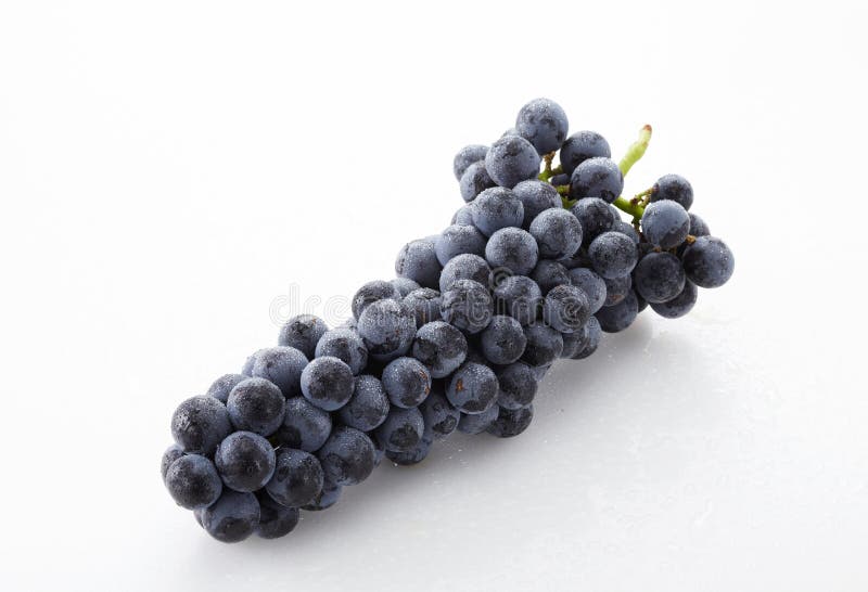 Fresh black grapes stock photo. Image of studio, grapes - 41320008
