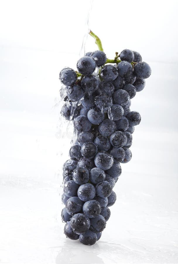 Fresh black grapes stock image. Image of grape, grapes - 41320497