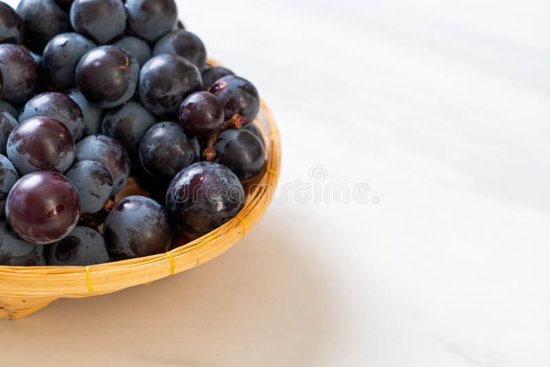 Fresh Black Grapes on White Background Stock Photo - Image of fruit ...