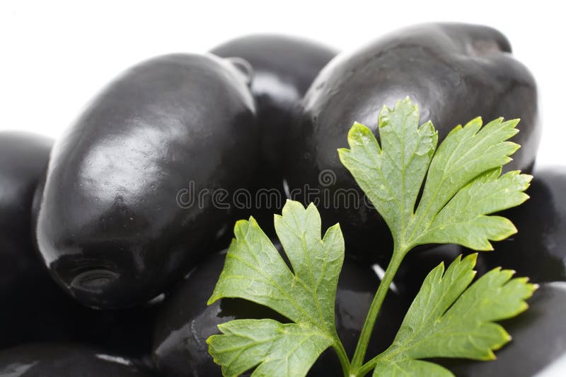 Fresh black olives stock image. Image of water, fruit - 3286475