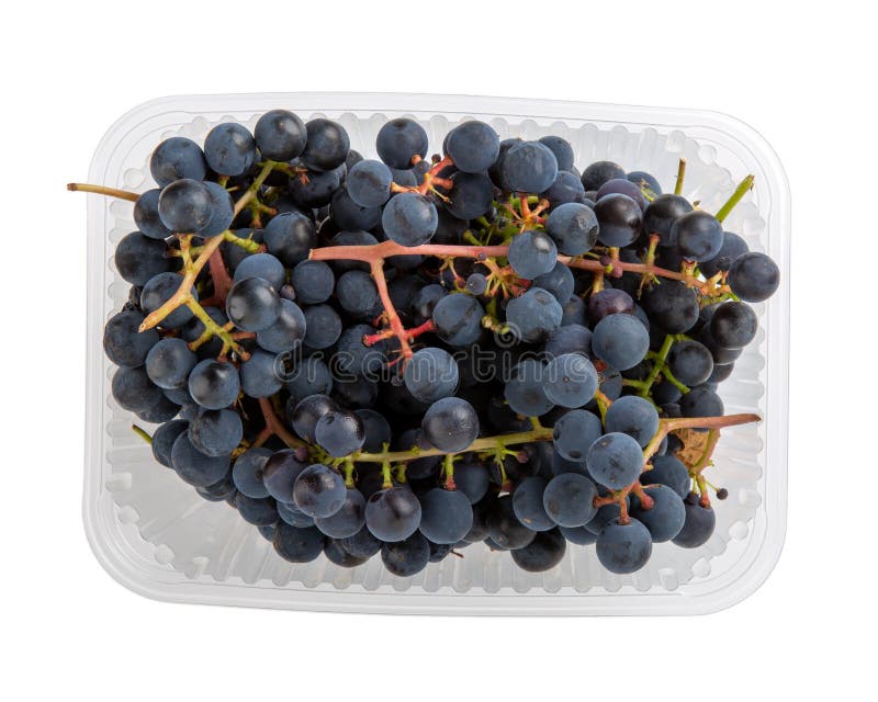 Fresh Black Organic Grapes Plastic Container Isolated White Background ...