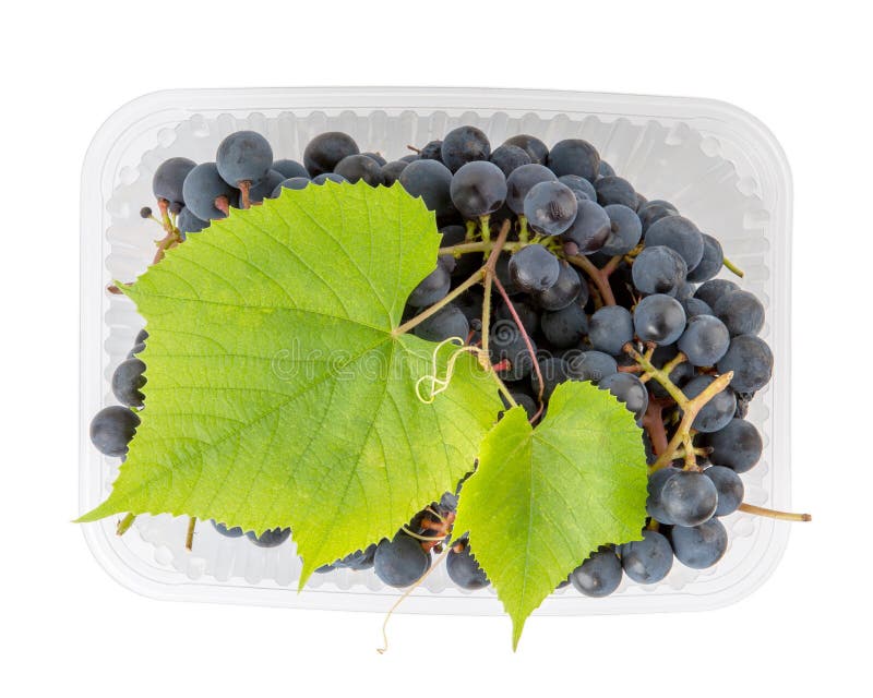 Fresh Black Organic Grapes Plastic Container Isolated White Background ...