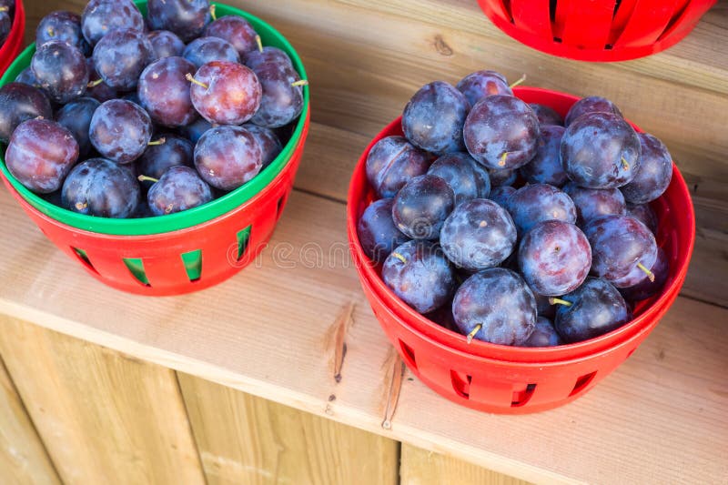 Fresh Black Plums in Baskets Stock Photo - Image of nutrient, diet ...