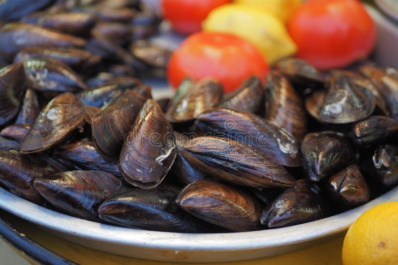 Fresh Black Shell Recipe with Lemon Turkish Food Stock Photo - Image of ...