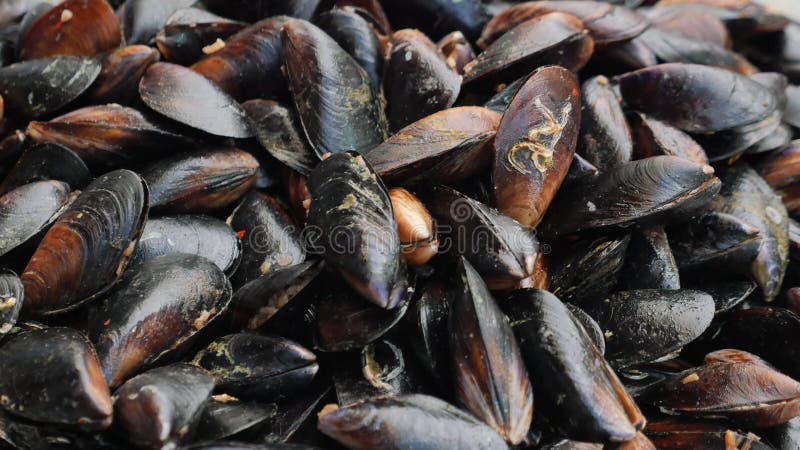 Fresh Black Shell Recipe with Lemon Turkish Food Stock Footage - Video ...