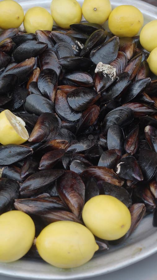 Fresh Black Shell Recipe with Lemon Turkish Food Stock Video - Video of ...