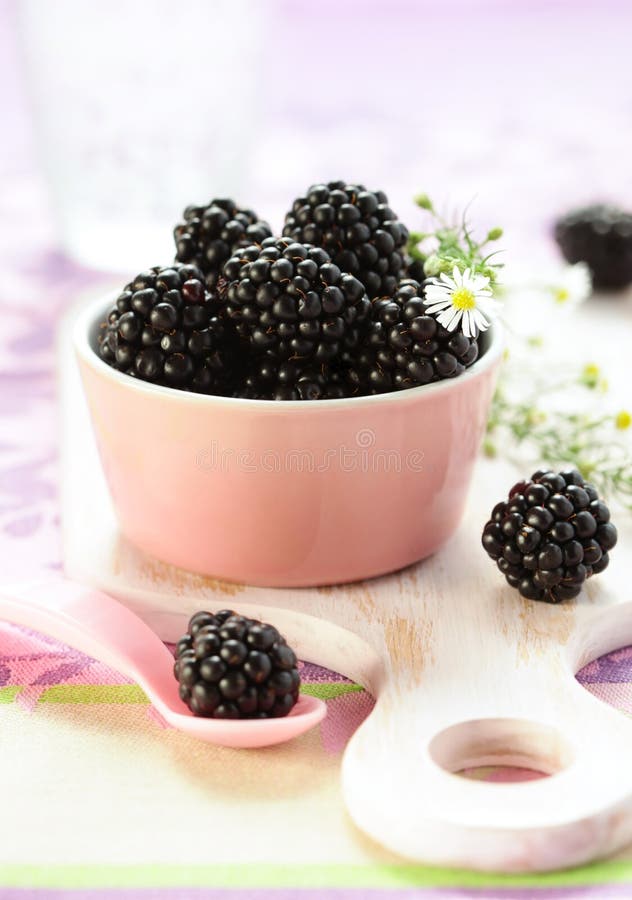 Fresh Blackberries stock photo. Image of tasty, eating - 14672546