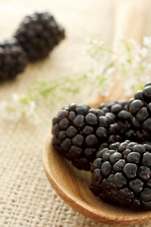 Fresh blackberries stock image. Image of eating, ripe - 21117405