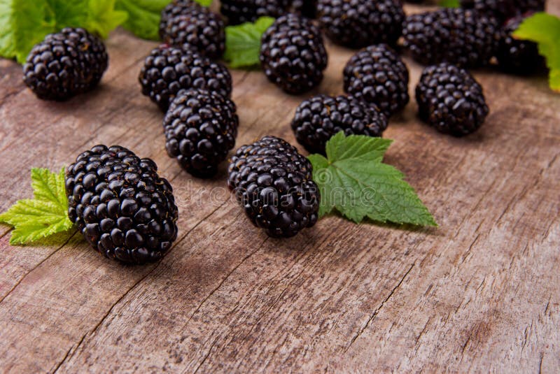Fresh blackberries stock image. Image of ripe, desert - 26093929