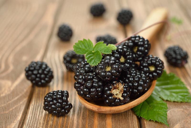 Fresh blackberries stock image. Image of food, healthy - 57387989